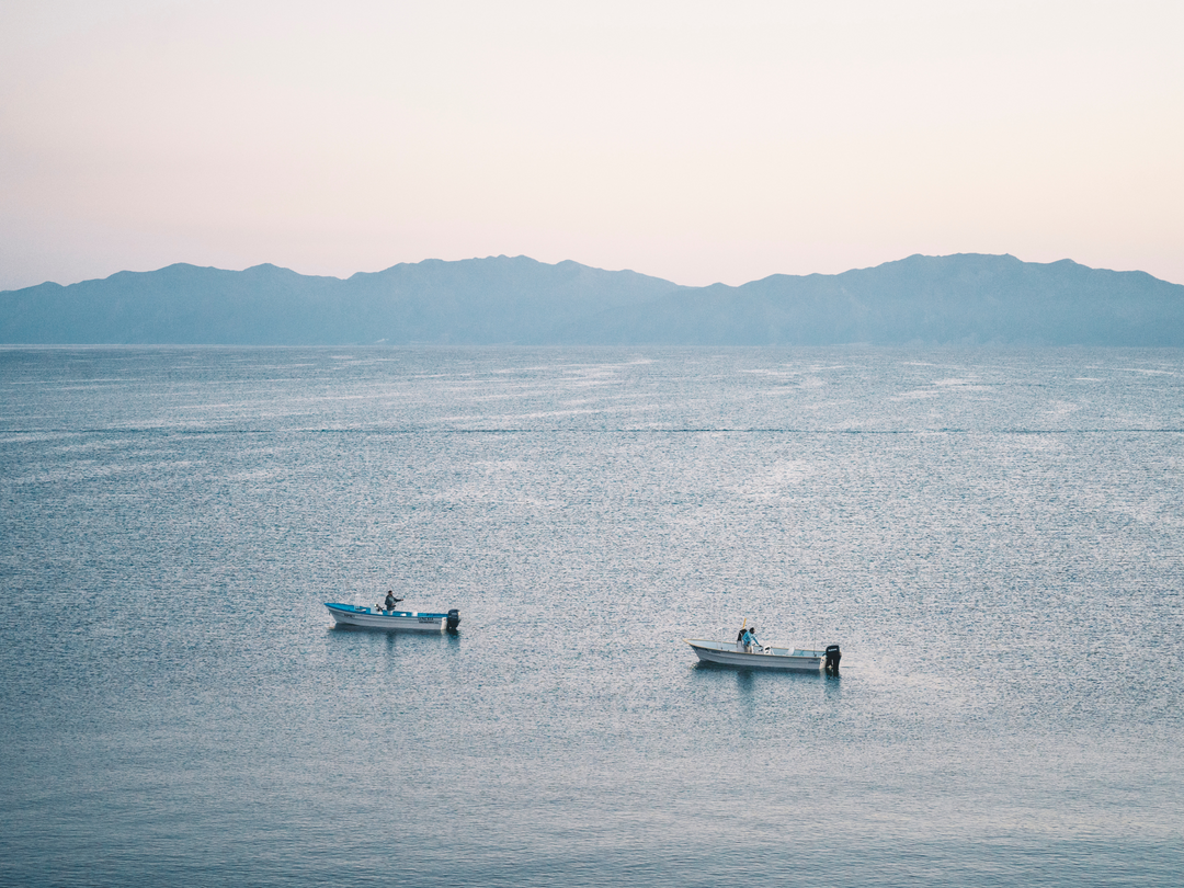 Hosted Trips – The Fish Ranch